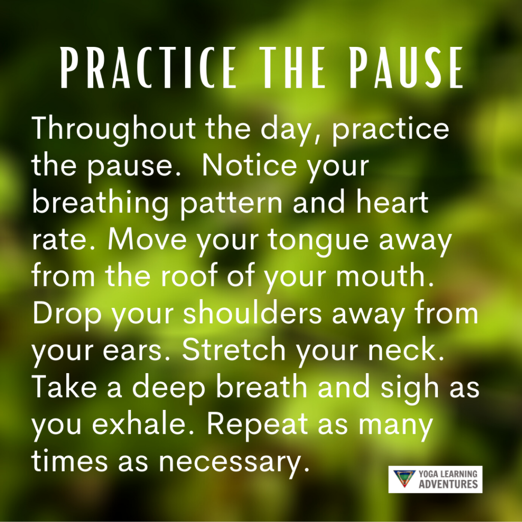 YMECE Module 2, Lesson 9: Application - Yoga Learning Adventures